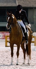 MatchnRide - Trainers Corner - Kathy Priest, Trainer - Equestrian ...